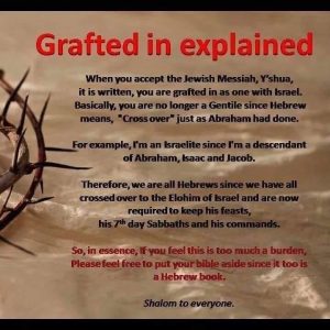 Grafted In Gentiles Explained | Just a Word